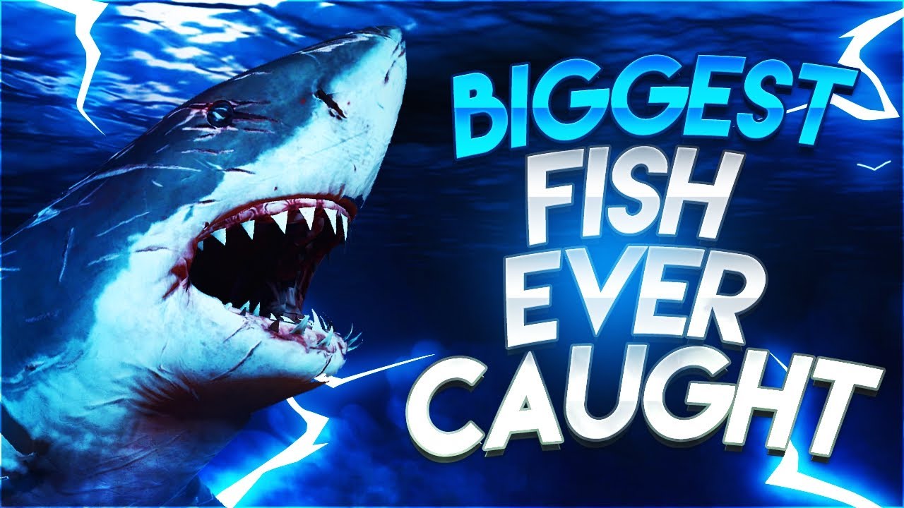 BIGGEST FISH EVER CAUGHT - A Monster of 120 Kg ( Frank Citro ) - YouTube