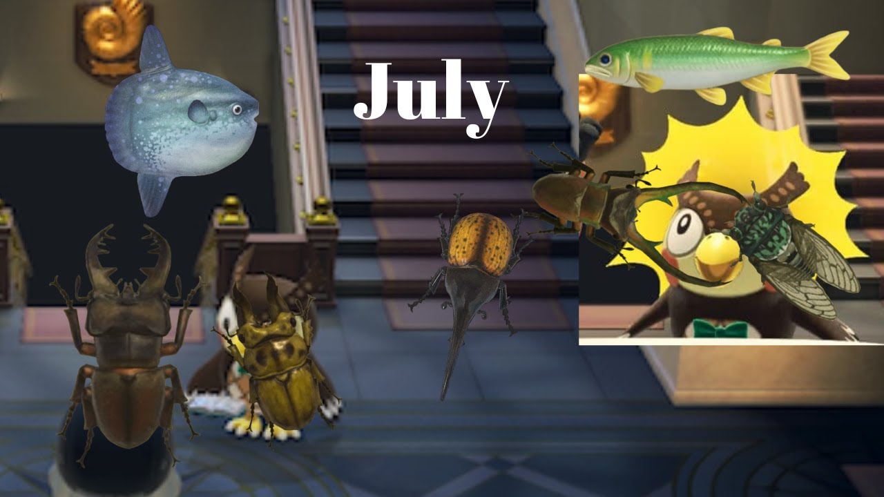 All new bugs & fish for July in Animal Crossing New Horizons - YouTube