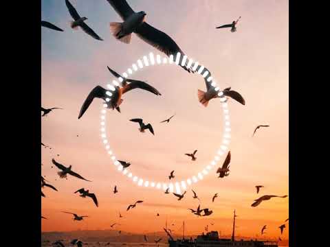 ruhum incinmis o da senin kimi görünmez🌚