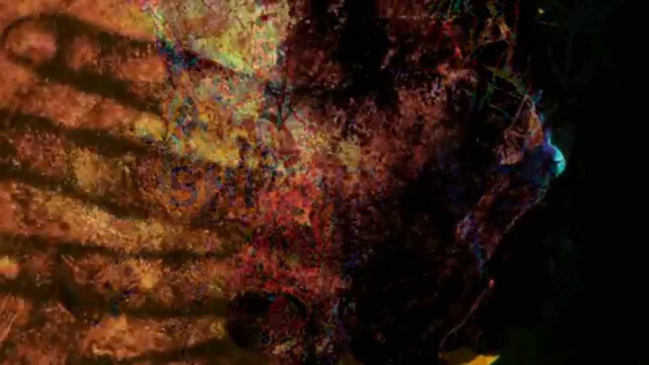 Shirley Ruffin - Fondation Clément (Martinique) - YouTube