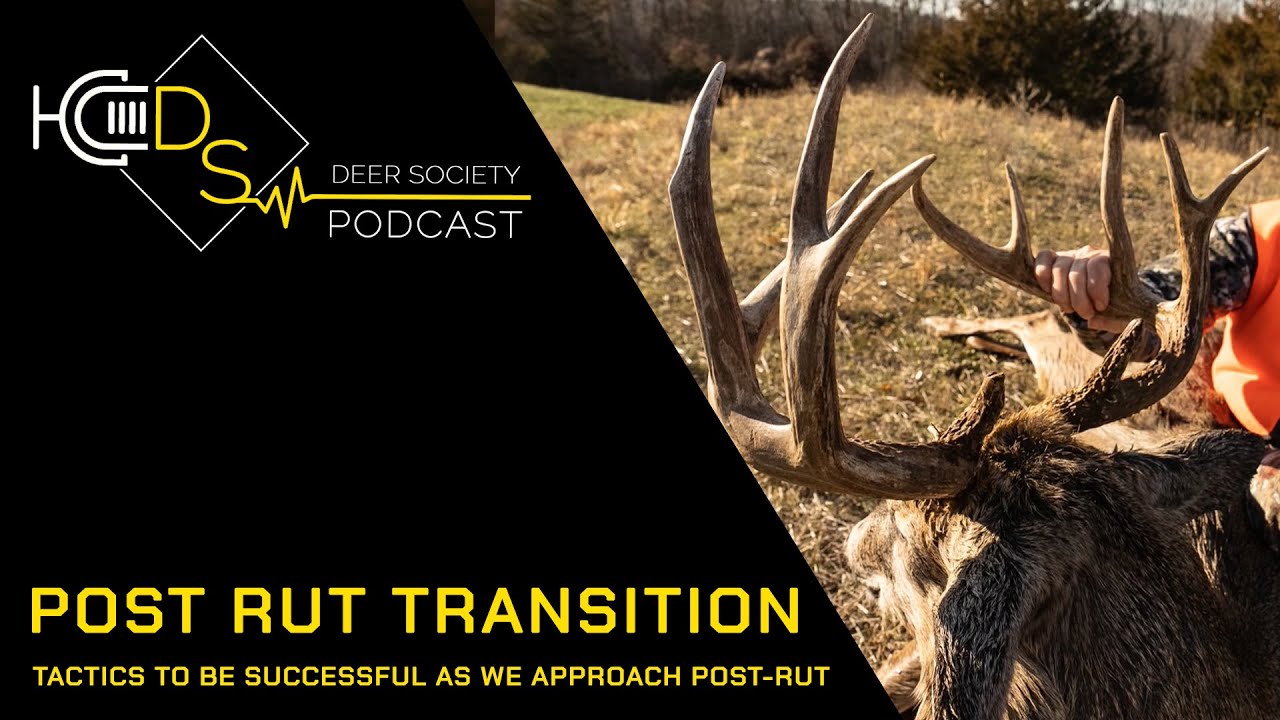 POST-RUT & Sanctuaries | WHERE to Hunt NOW? - YouTube