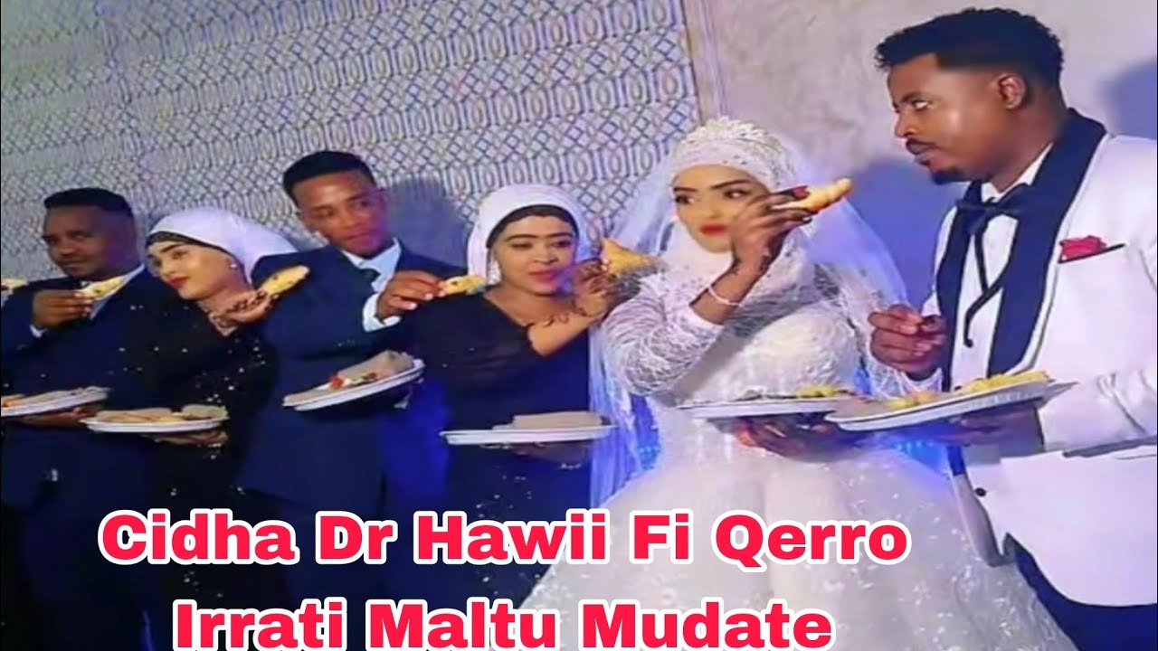Cidha Dr Hawii Fi Qerro Irrati Maltu Mudate - YouTube