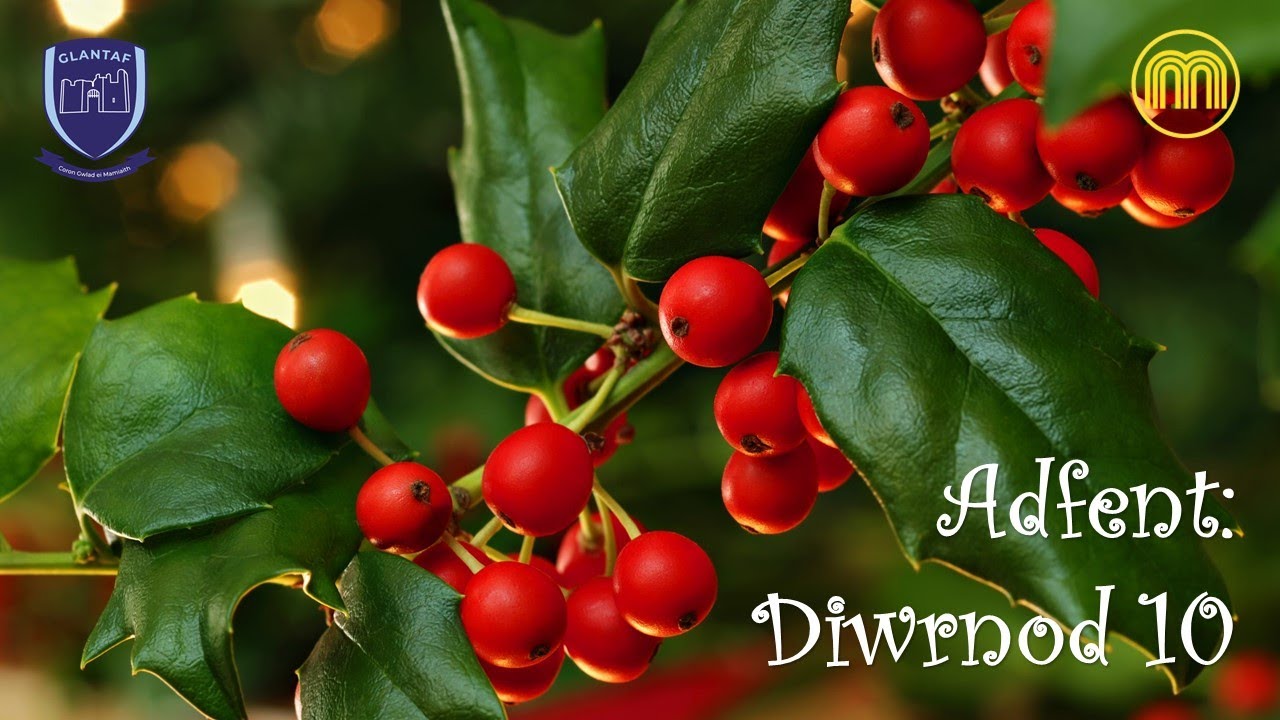 Calendr Adfent Makaton: Diwrnod 10 - Celyn Makaton Advent Calendar: Day ...