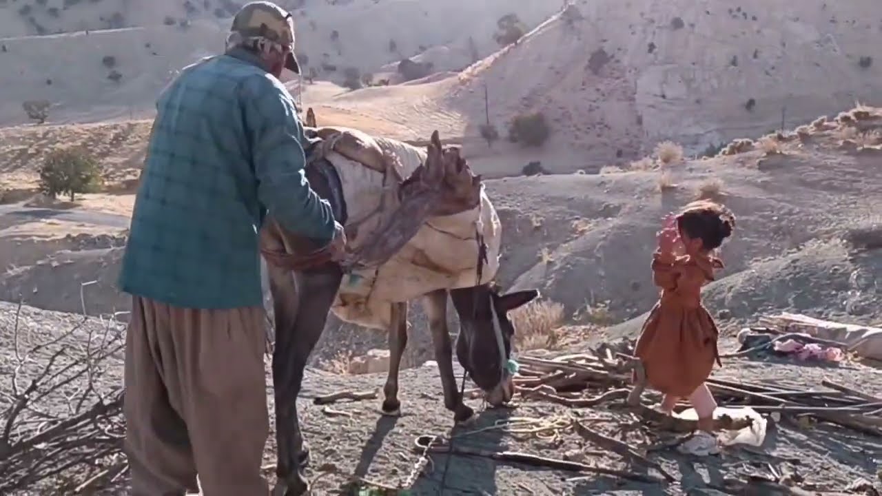 Nomadic life: foot dislocation دررفتگی مچ پا: درمان دررفتگی یا پیچ ...