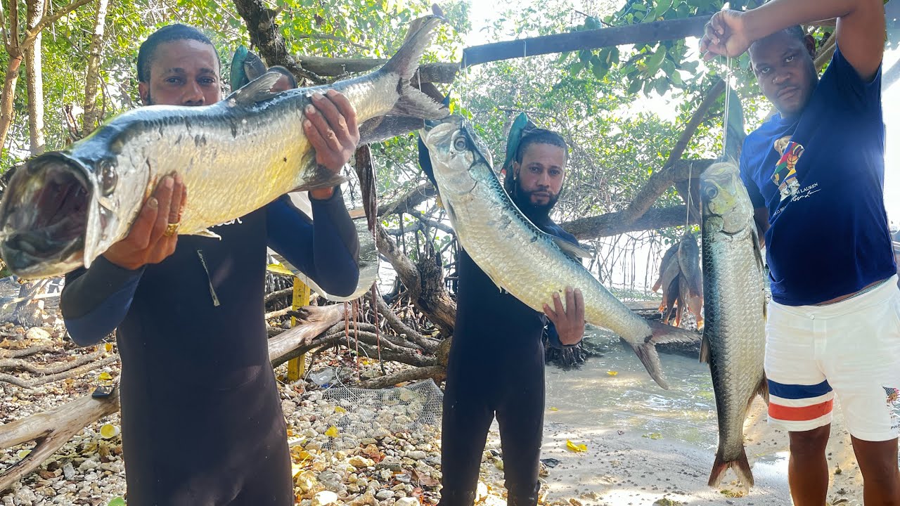 BIGGEST TARPON FISH I EVER CAUGHT - YouTube