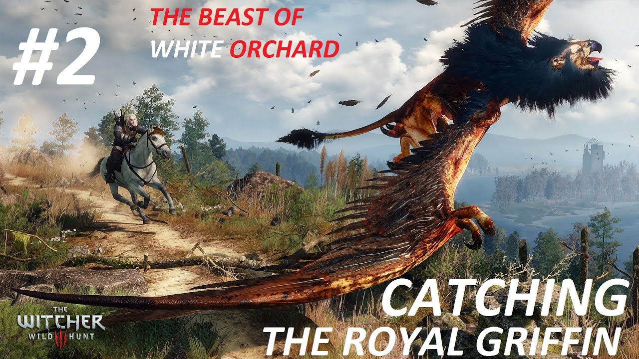 The Witcher 3 Wild Hunt Walkthrough part 2 - Catching The Royal Griffin ...