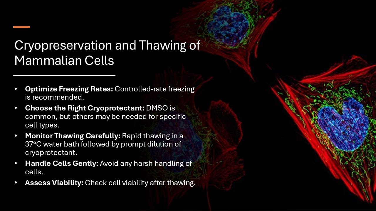 Cryopreservation and Thawing of Mammalian Cells (Notes included) - YouTube