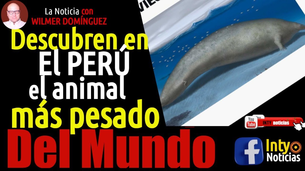 ISAAC BIGIO NOS EXPLICA LO QUE SIGNIFICA ESTE EXTRAORDINARIO HALLAZGO ...