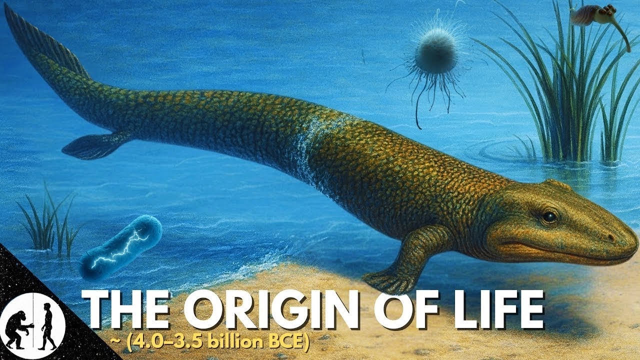 The First Life on Earth The Complete Story of Our 4 Billion Year Old ...