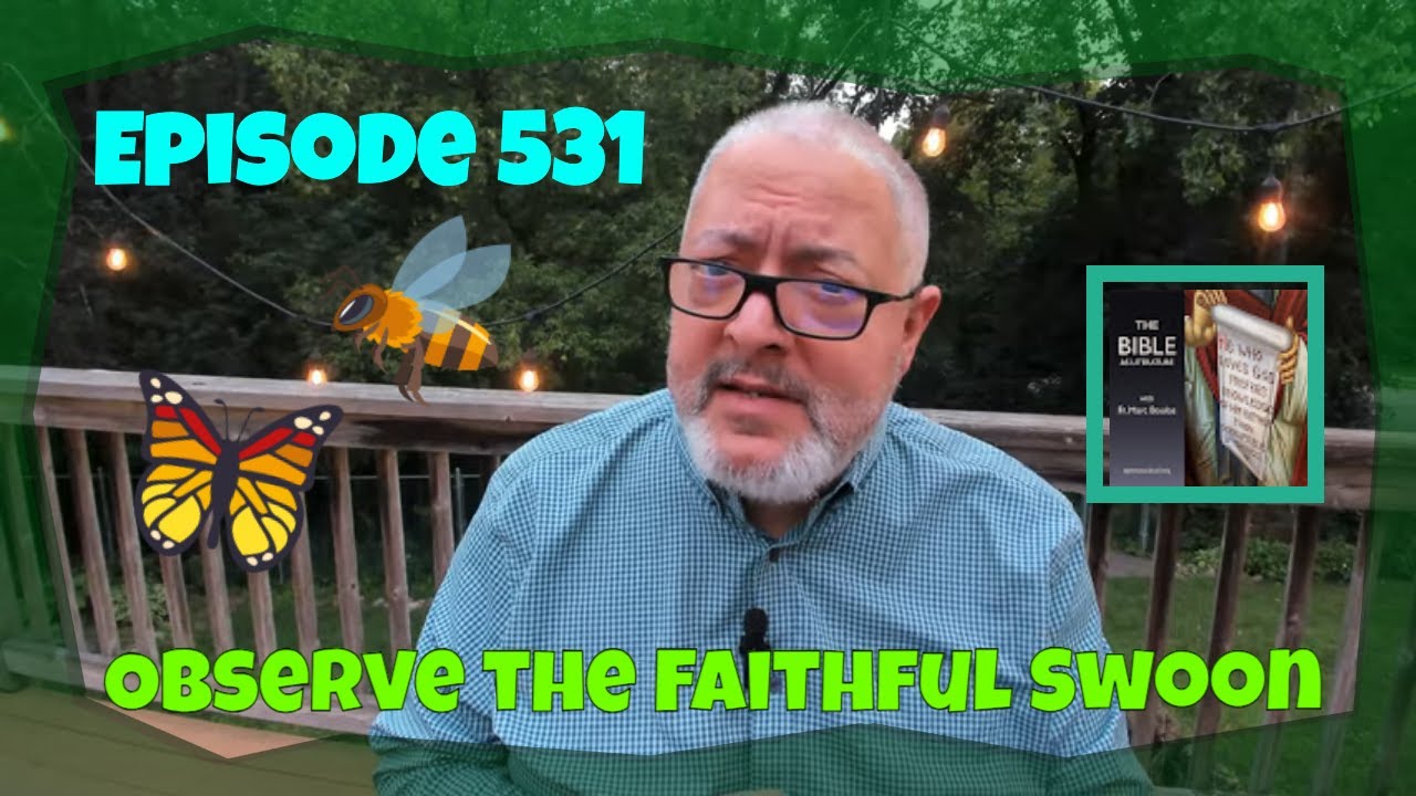 Observe the Faithful Swoon - YouTube