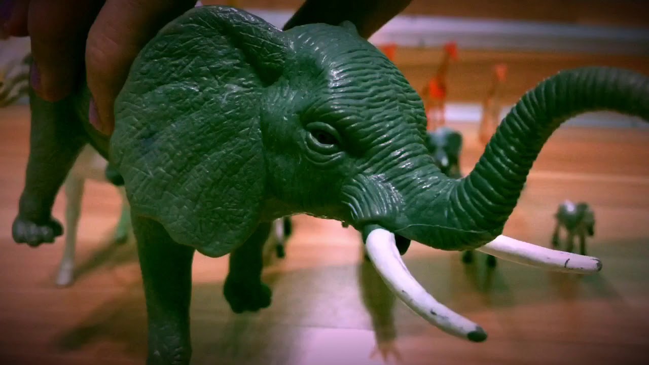 THE WILD ANIMAL TOYS-KIDS,FUN TOYS - YouTube