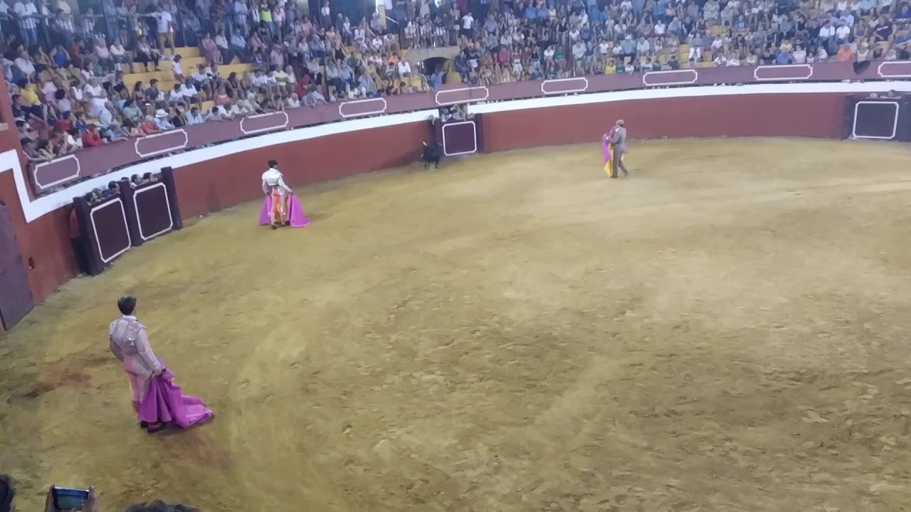 Toros de Cortes de la frontera 🐂🐃🐃🐃🐃 - YouTube