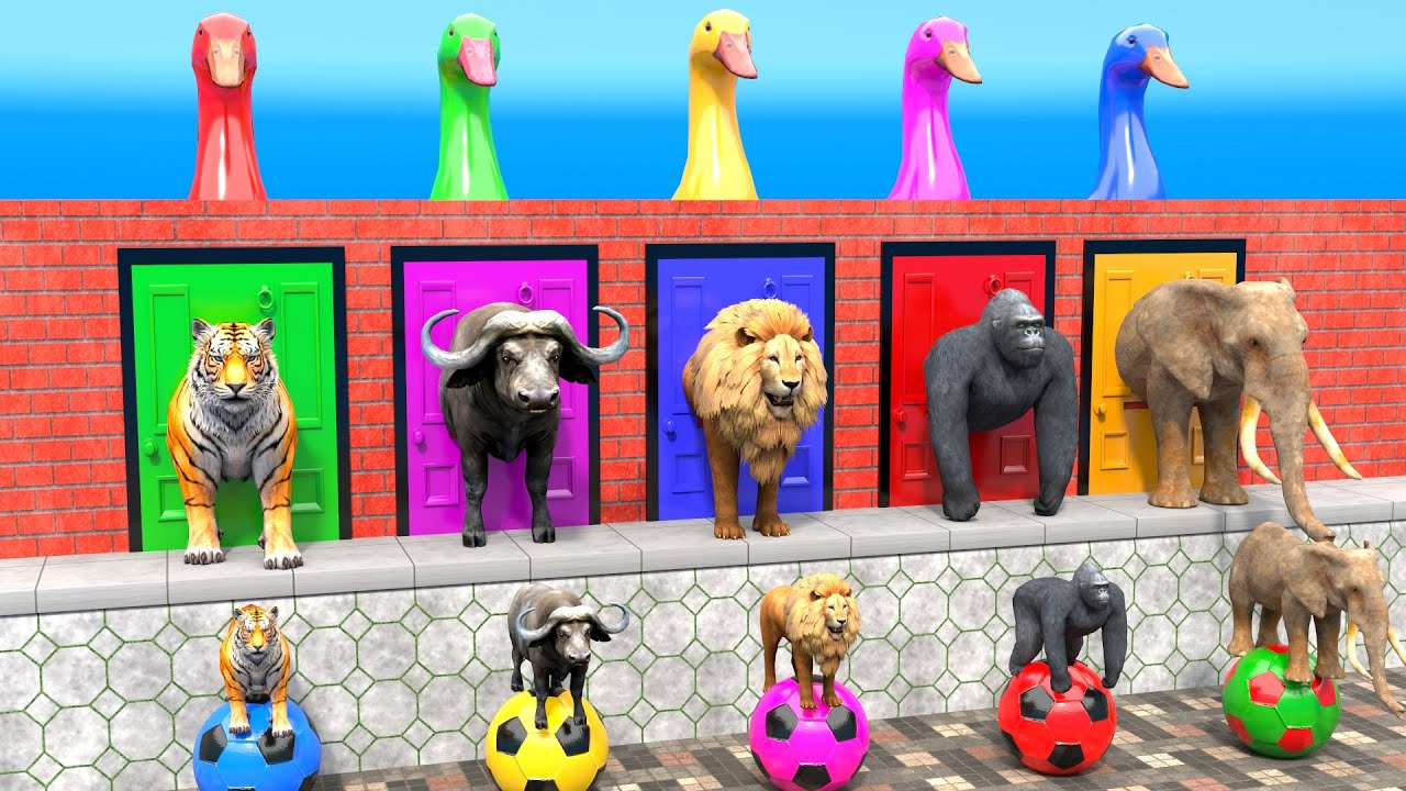 Elephant Lion Gorilla Tiger Hippo Choose The Right Baby ESCAPE ROOM ...