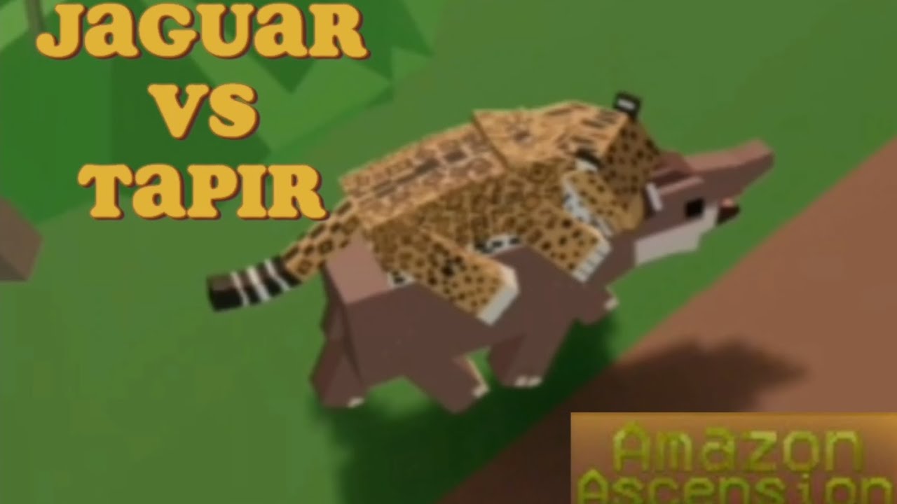 jaguar vs tapir (amazon ascension) - YouTube