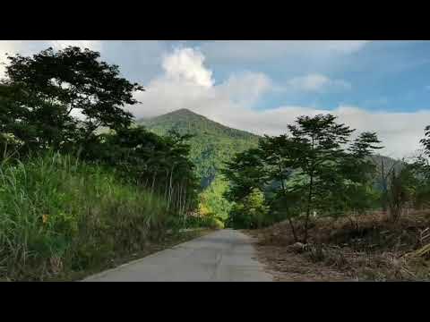 Escaped to the mountains of Puting Bato, Cabadbaran, Agusan del Norte - YouTube