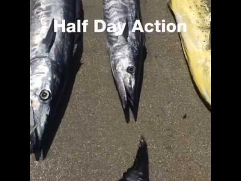 Half Day Of Wahoo Fishing In Miami - YouTube