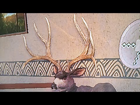 Parque Fernando Quest For Trophy Mule Deer! - YouTube