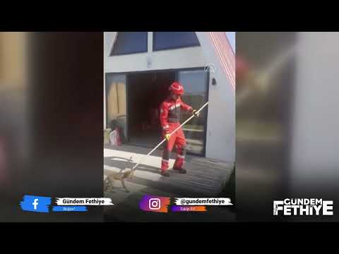 Fethiye’de boş havuza düşen tilki yavrusu kurtarıldı