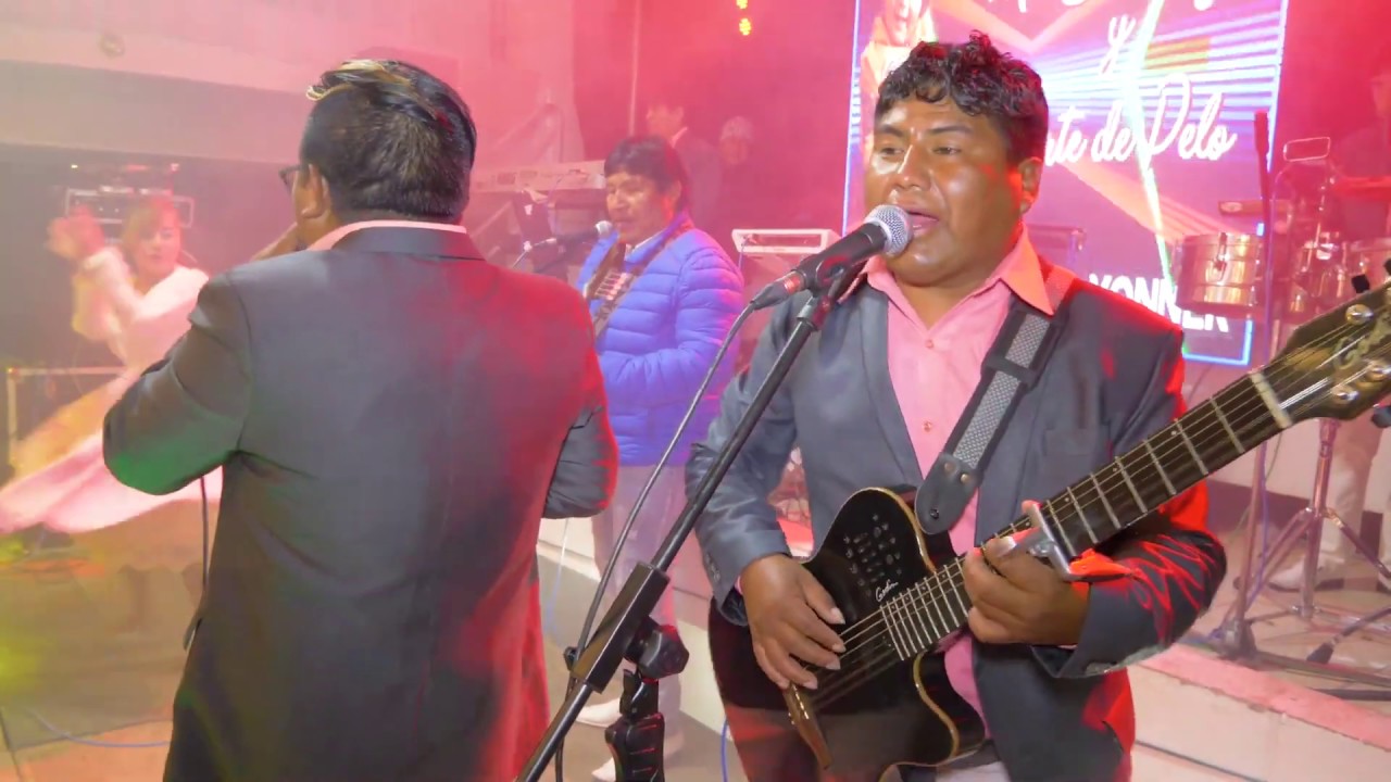 OSITO PARDO WILLIAM ENRIQUE (juliaca) - YouTube