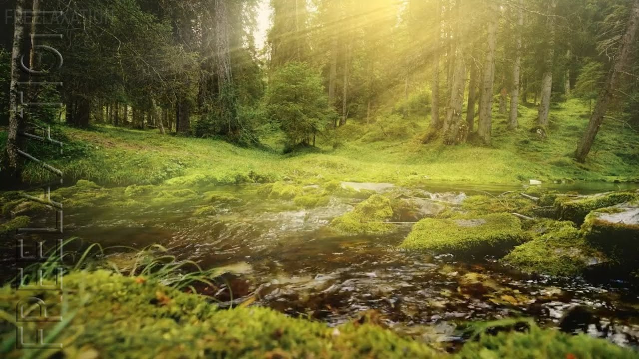 011 - FreeLaxation - Green Forest - Relaxing music | 18+ - YouTube