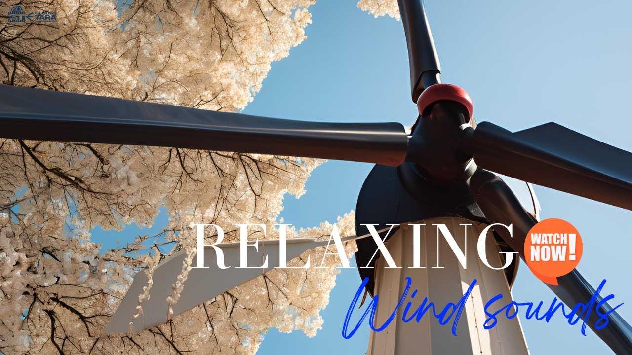 20 min Music Therapy (Depression, Insomnia and Anxiety) - Relaxing wind ...