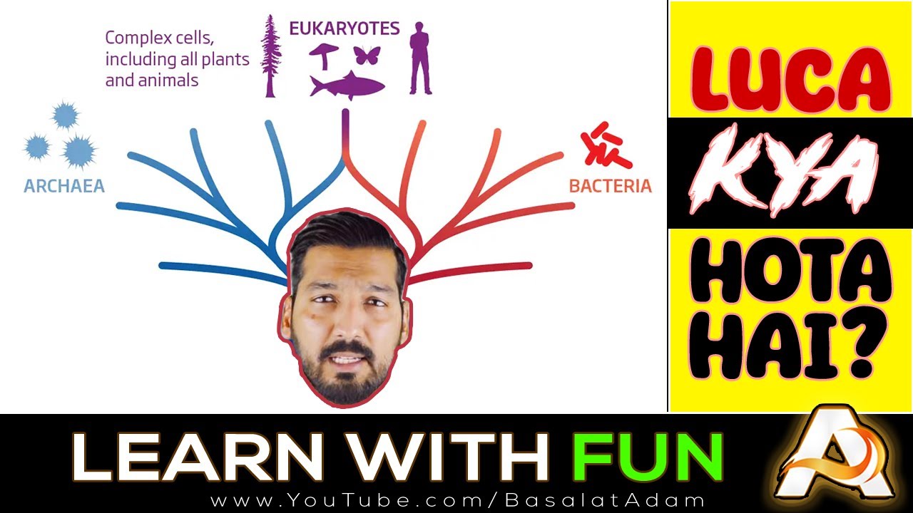 LUCA Kya Hai? | First Cell Theory | Is Abiogenesis Possible? - YouTube
