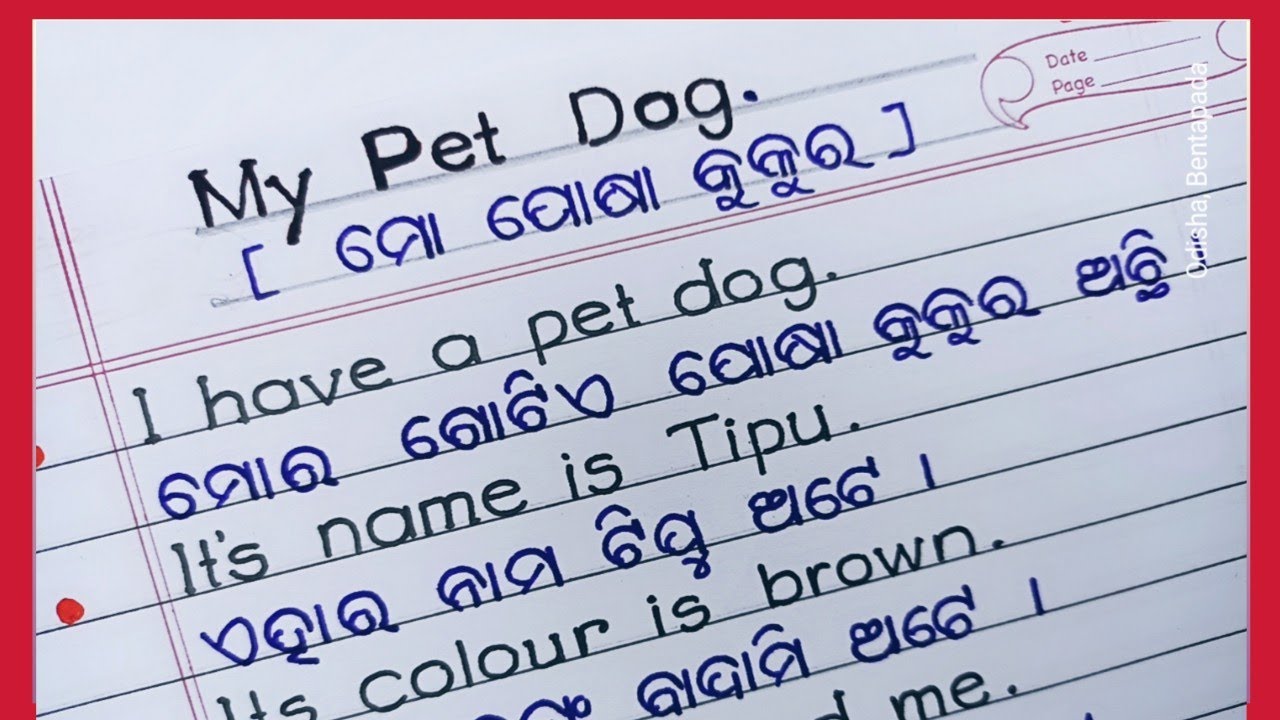 My pet dog essay in ten lines | Ten line essay in english | English and ...