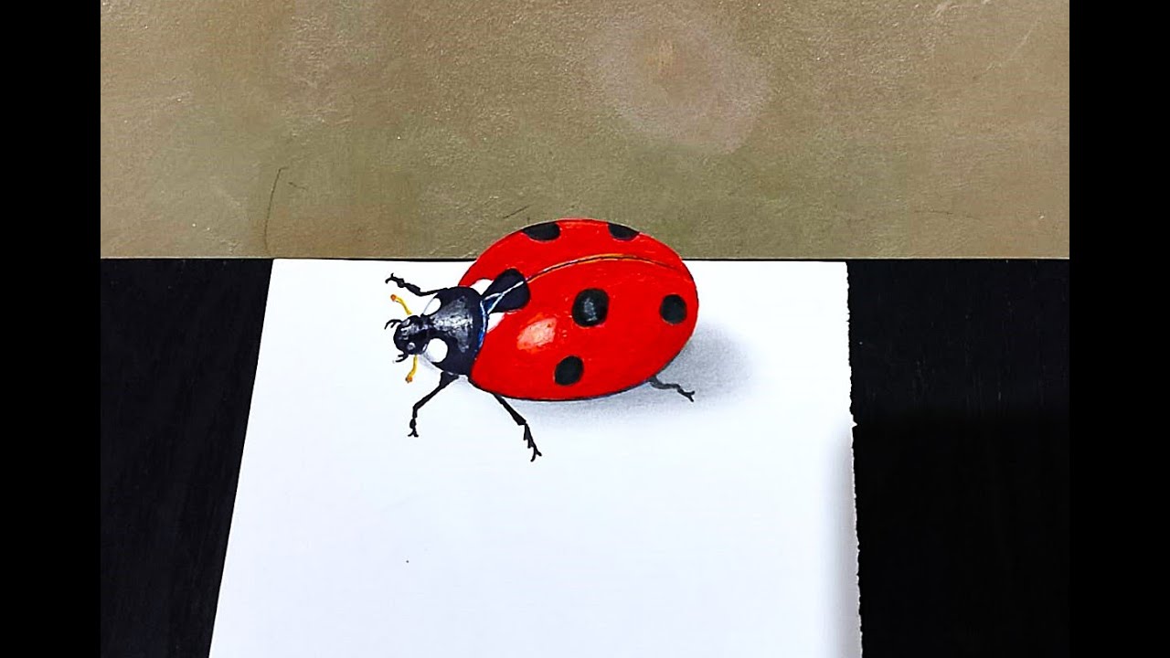 How to Draw LadyBug | 3D Drawing Trick | Optical illusion Art - YouTube