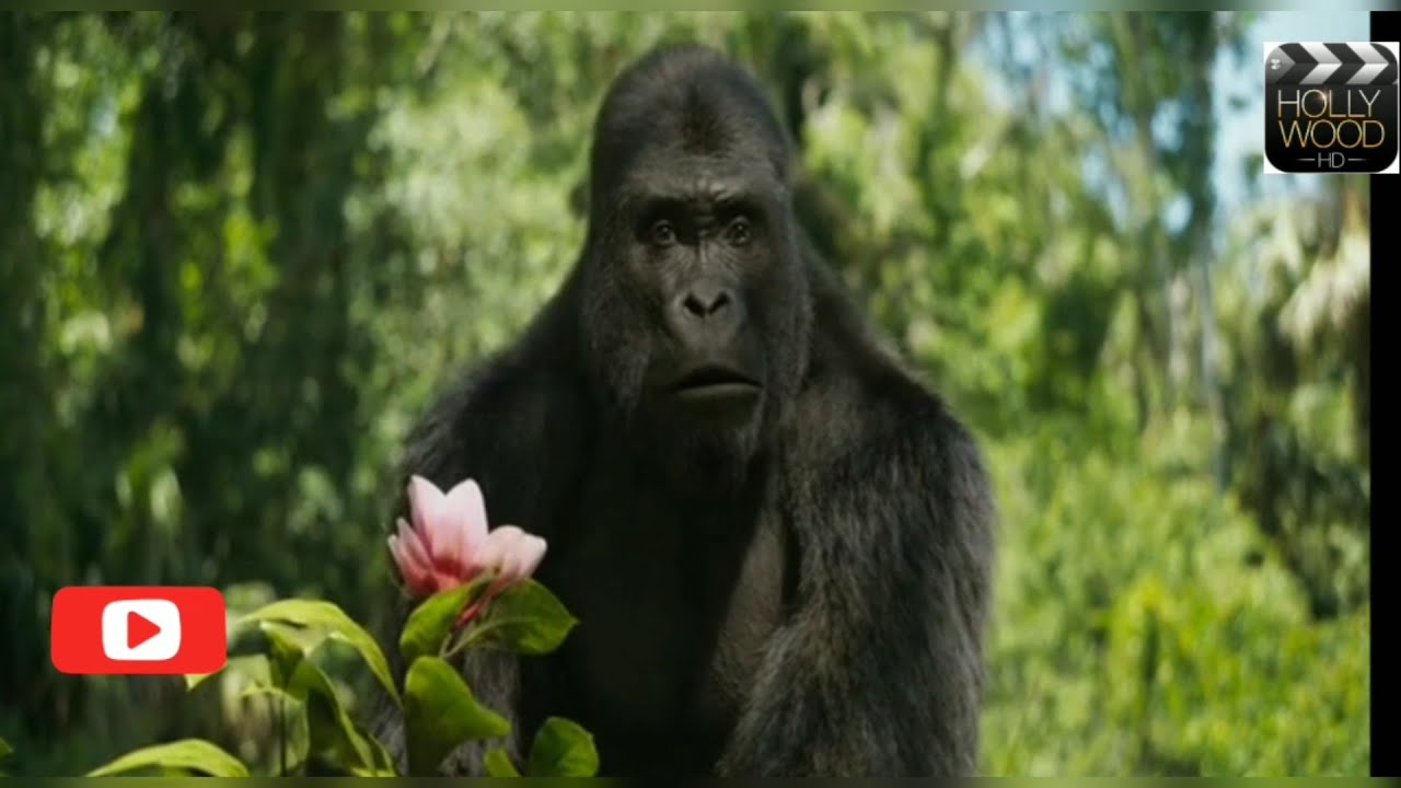 The One and Only Ivan 2020 HD Movie Clip - YouTube
