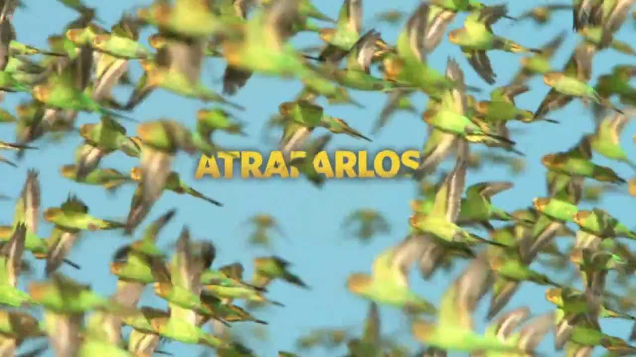 Destination Wild, Australia - YouTube