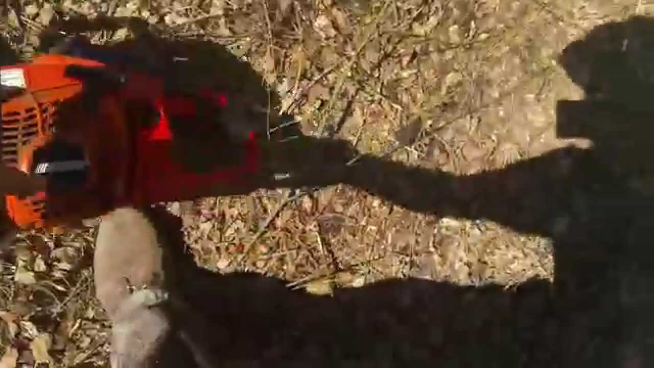 Almost Cut My Leg Open - Chainsaw Safety Alert - YouTube
