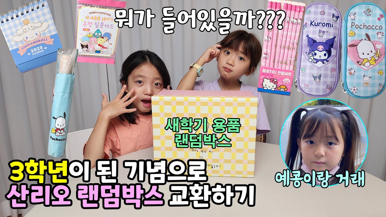 3학년 됐어요 친구랑 새학기용품 산리오 랜덤박스를 교환했어요 뚜뚜가 좋아하는 시나모롤포차코를 가질 수 있을까요 Ft