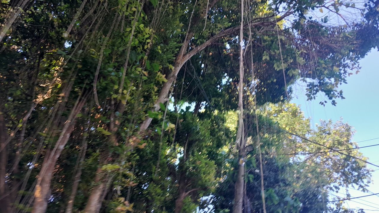 #Buyol #Ep3 | Jumat full Version Semangat :) - YouTube