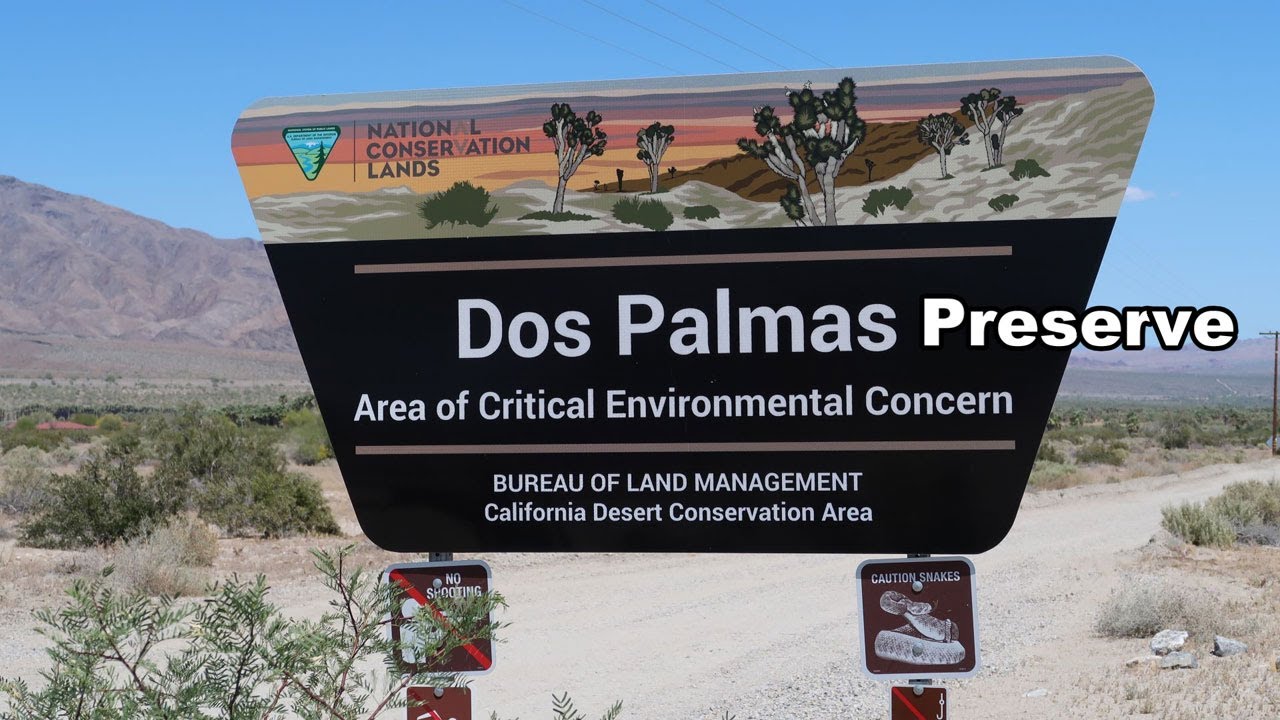 Dos Palmas Preserve - YouTube