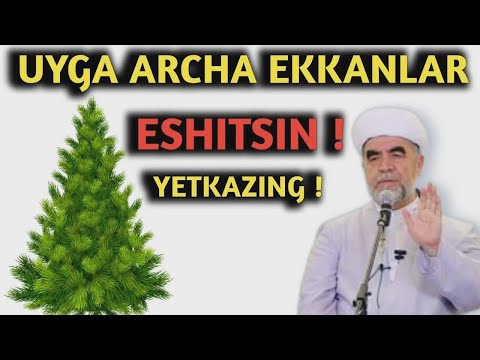 UYDA ARCHA EKSA KOFIRMI? SHAYX MUHAMMAD SODIQ