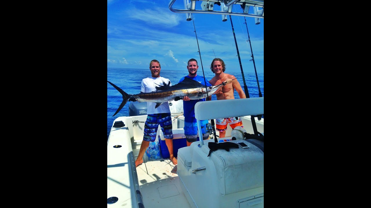 Sailfish Caught in Gulf of Mexico by Capt. Tyler Levesque 15 Miles ...