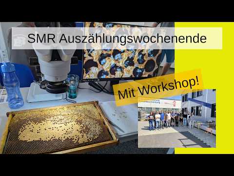 Montag, 4.08.'26 Auszählungswochenende SMR (Buckfast NRW)