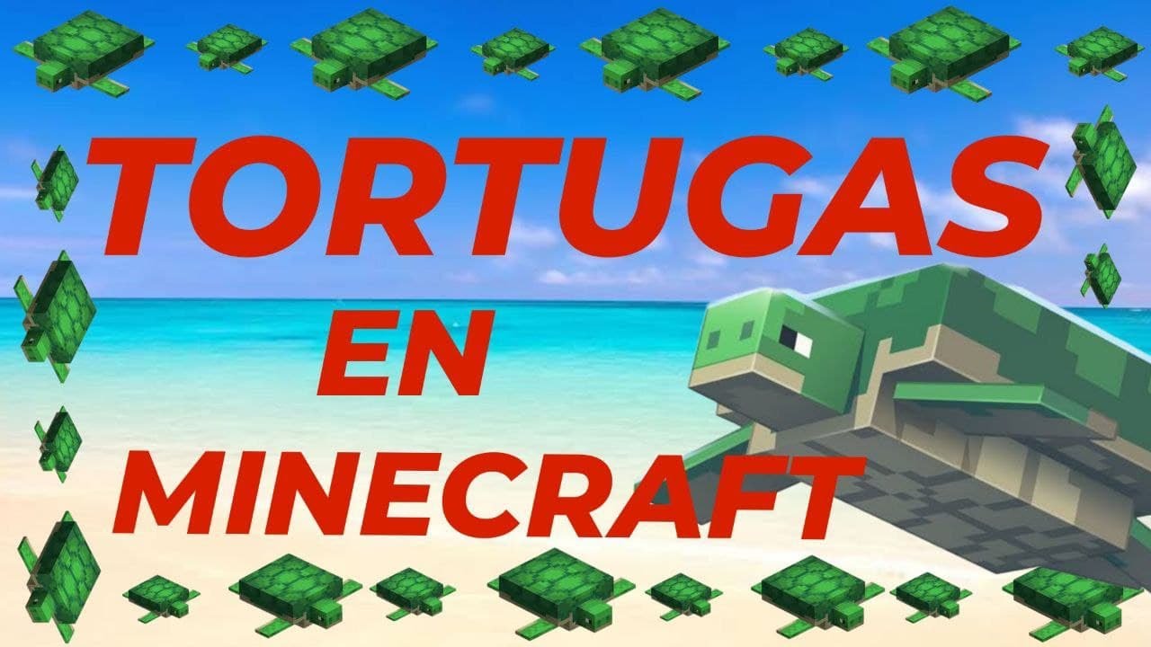 TORTUGAS en Minecraft - TODO lo que necesitas SABER de las TORTUGAS en ...