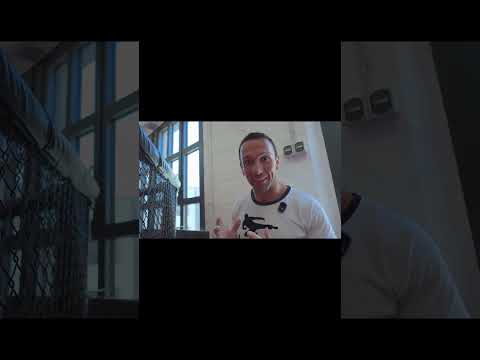     Wing Tsun gegen UCC? Meine klare Reaktion!