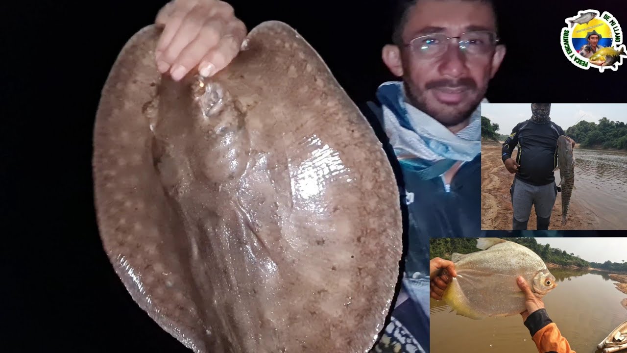 Aventura pesca y cocina con amigos en mapiripan pesca de bagre rayado ...