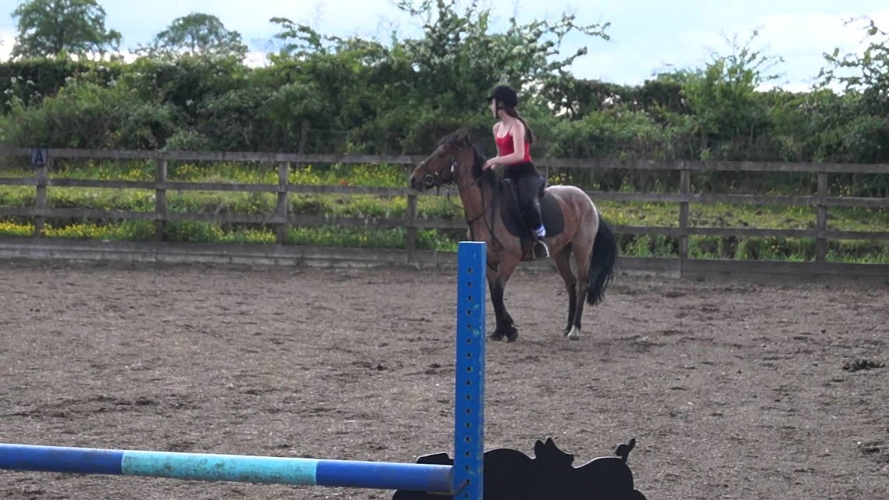 rachel and bramble, clear rounds. - YouTube