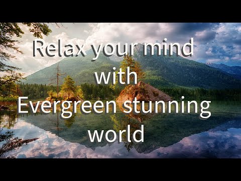 Mind relaxing and refreshing video. Relax with Evergreen stunning world ...