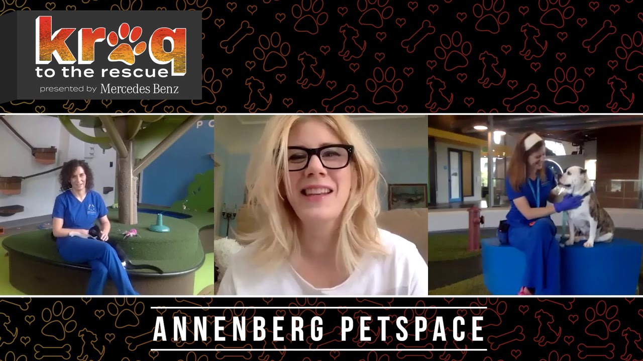 KROQ To The Rescue: Annenberg PetSpace in Playa Vista - YouTube