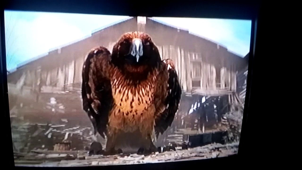 Rango-Chase Scene Part 1 & 2 - YouTube