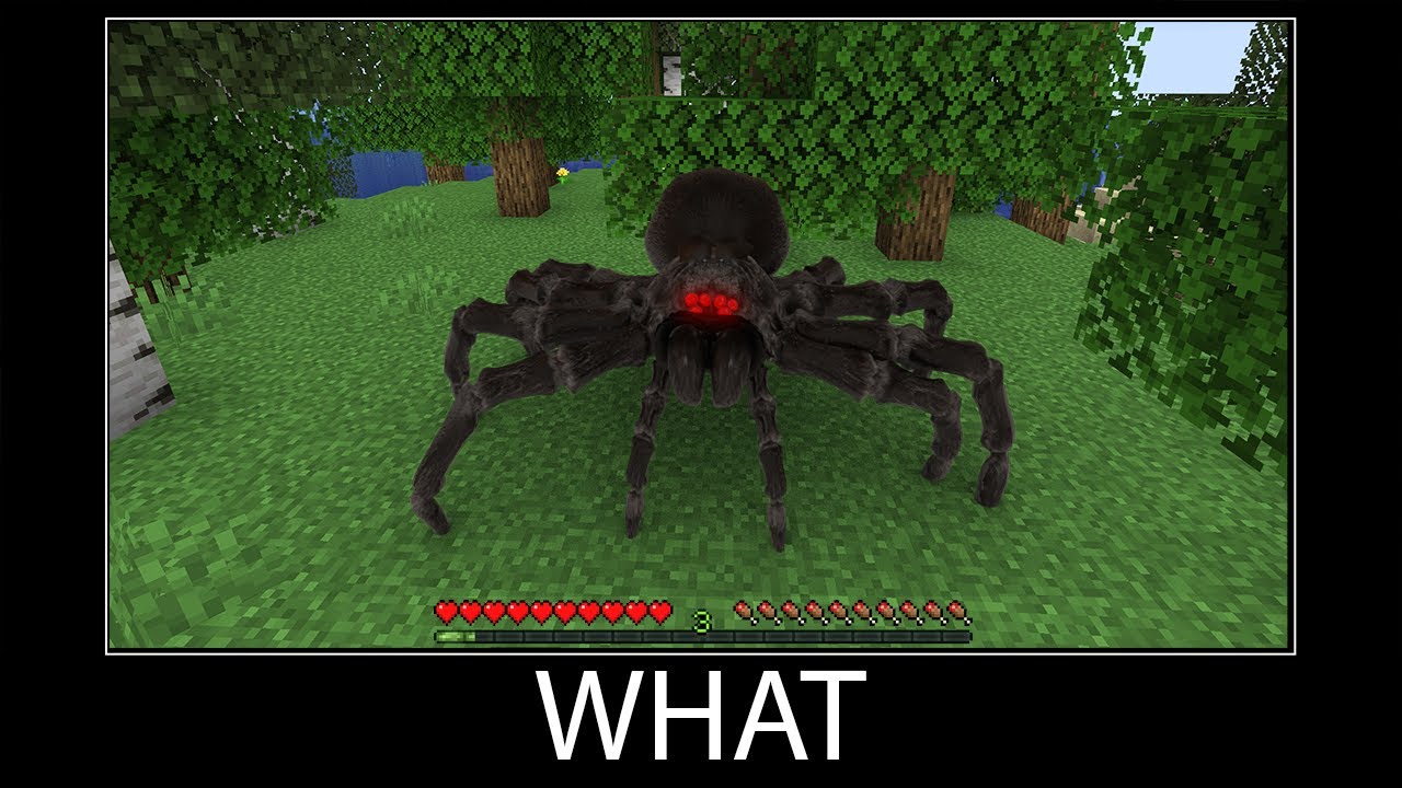 Minecraft wait what meme part 31 realistic minecraft spider - YouTube