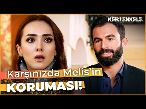 Melis'in özel koruması Kara Kemal! 😅 | Kertenkele 🦎