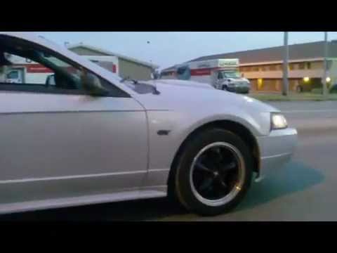 Optima SX vs Trans Am GTA vs Mustang GT