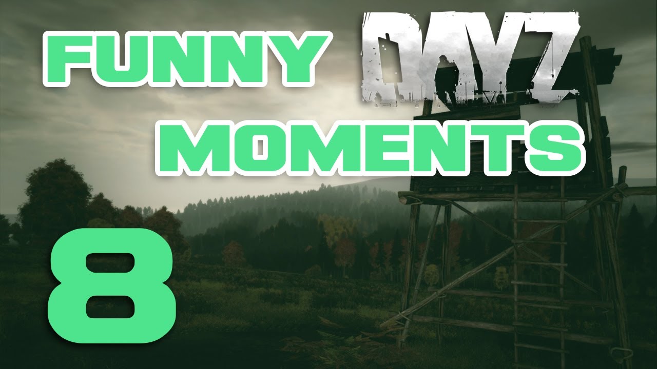 Funny DayZ Moments #8 - YouTube