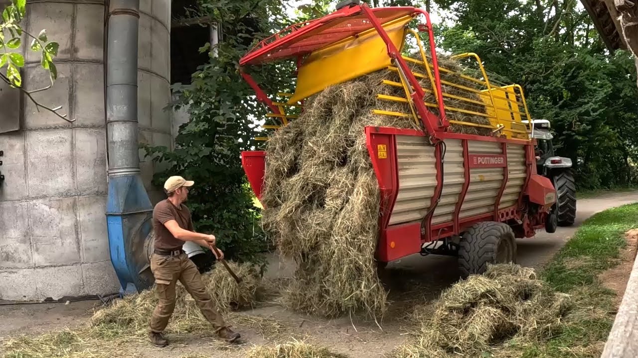 Long Hot Summer Days on a Dairy Farm - YouTube