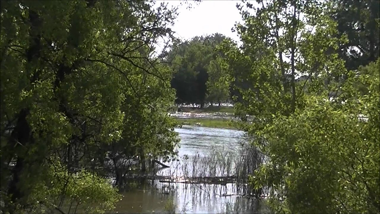 North Platte River Flooding 2011 - McGrew Nebraska - YouTube